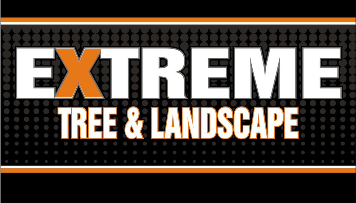 Extreme Tree and Landscape (@ExtremeTree@mastodon.social) - Mastodon