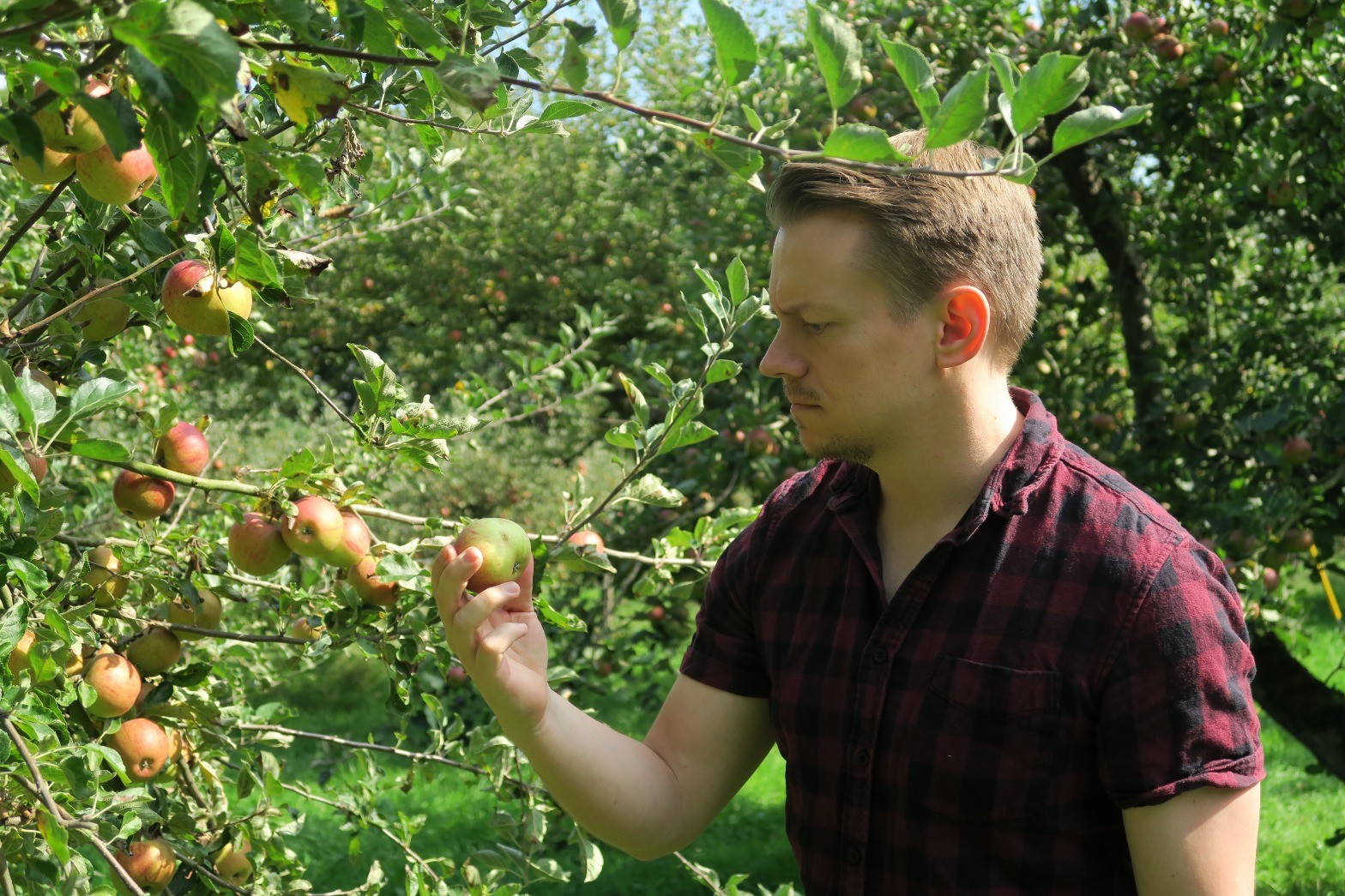 Brian Firenzi (@mrbfirenzi@mastodon.social) - Mastodon