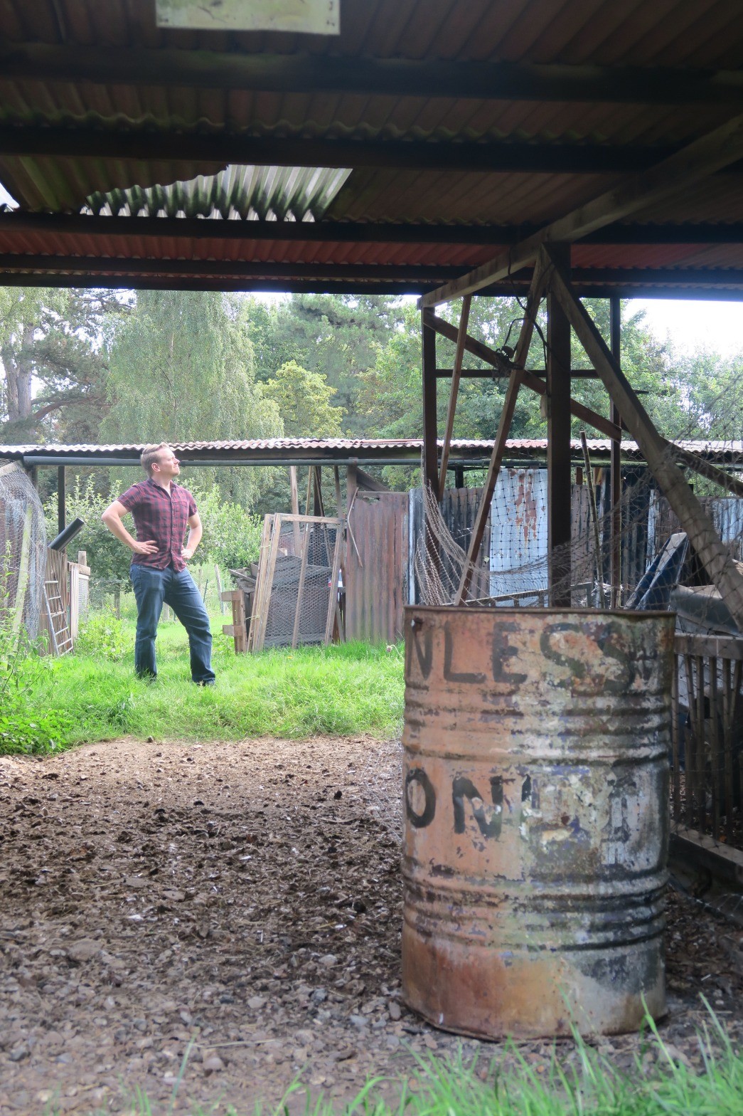 Brian Firenzi (@mrbfirenzi@mastodon.social) - Mastodon