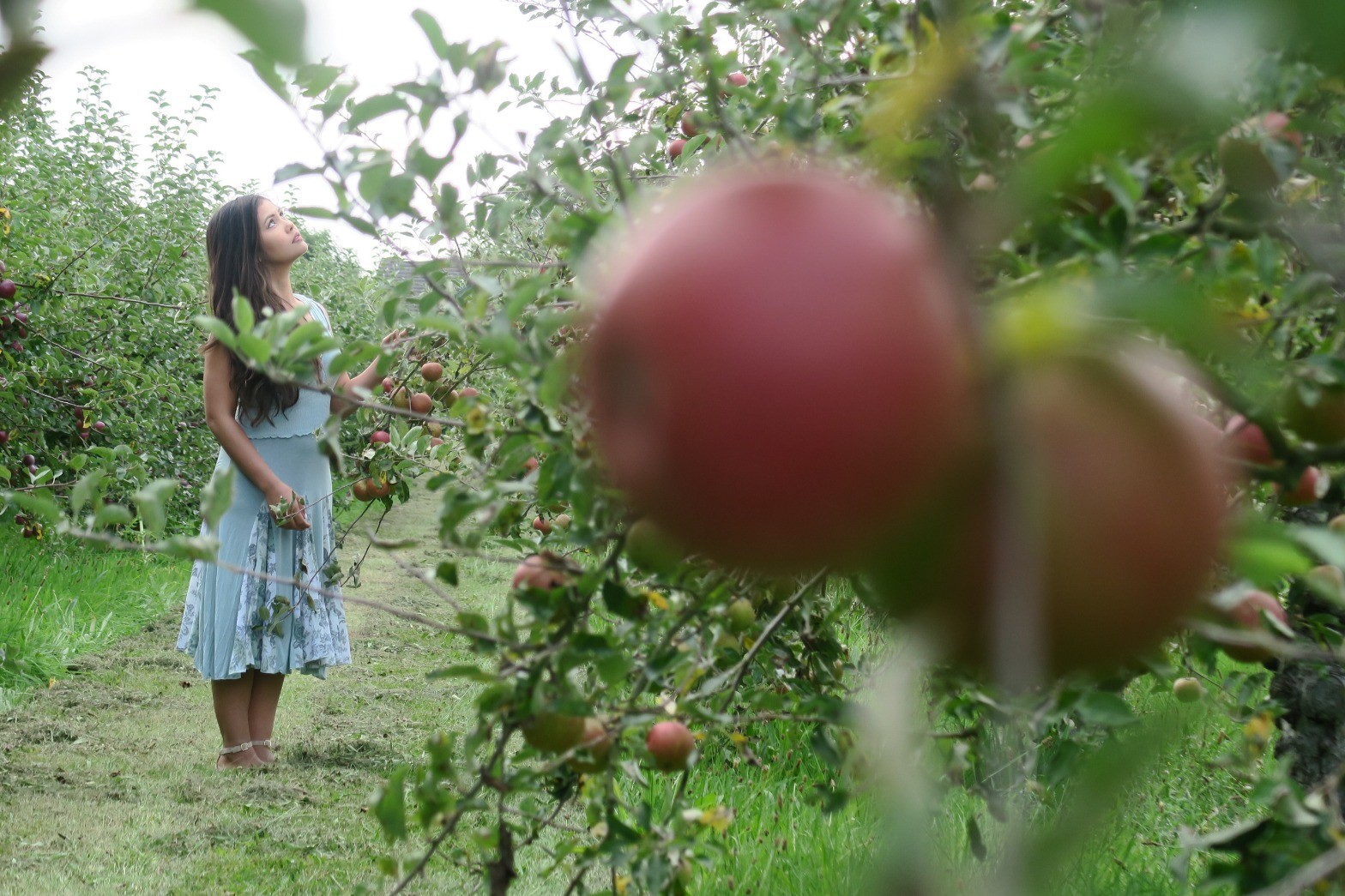 Brian Firenzi (@mrbfirenzi@mastodon.social) - Mastodon