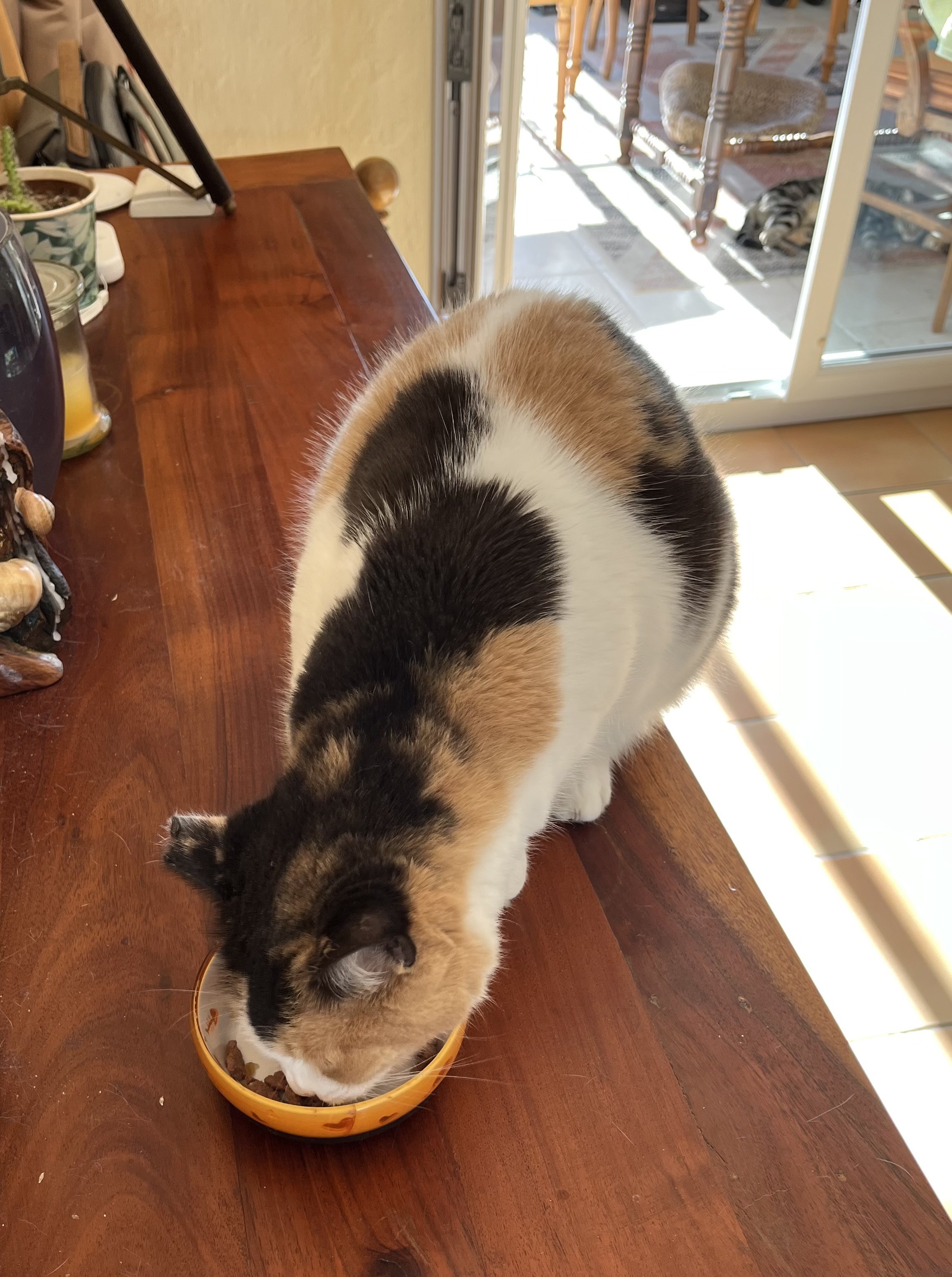 Sven A. Schmidt (@finestructure@mastodon.social) - Mastodon