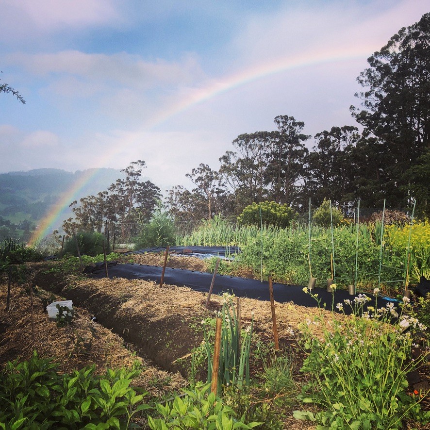 DeepEndFarm (@DeepEndFarm@mastodon.social) - Mastodon