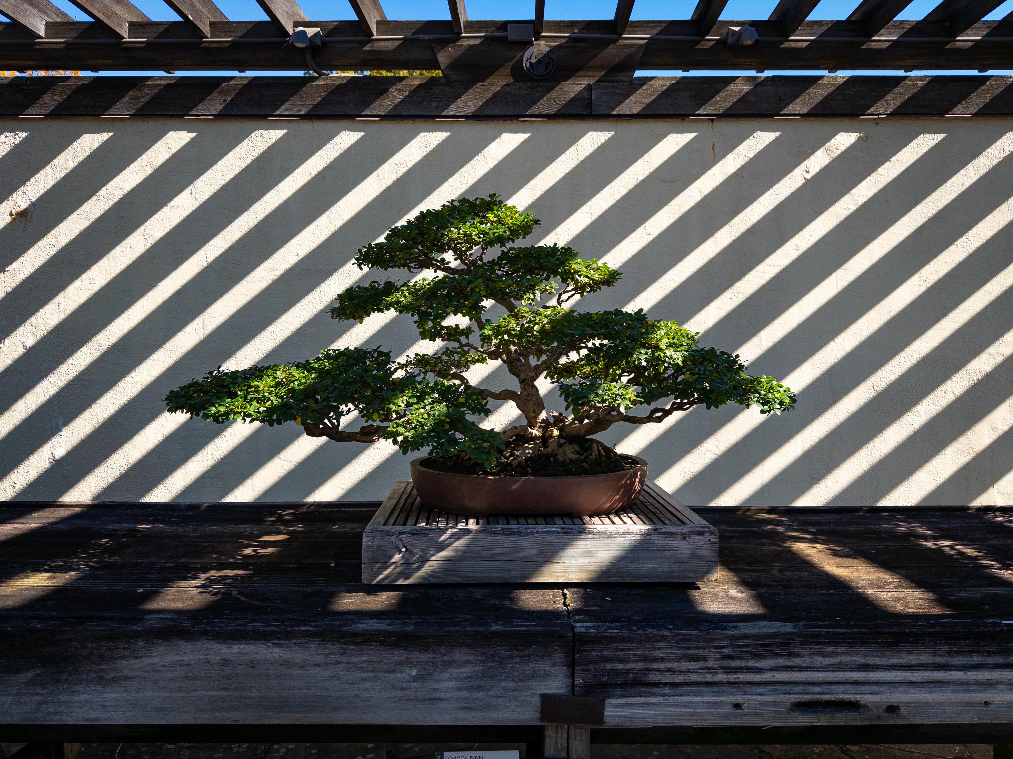 David Friedman (@ironicsans@mastodon.social) - Mastodon