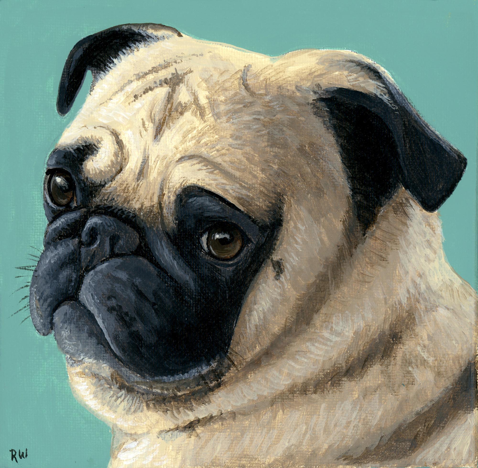 Rebecca Wang: "A pet portrait painting of a pug with a teal gree ...