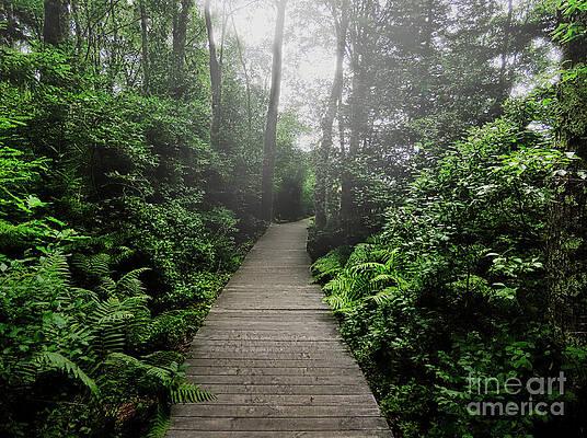 Scott Loring Davis: ""Beautiful Walks Collection" By Scott Loring Davi ...