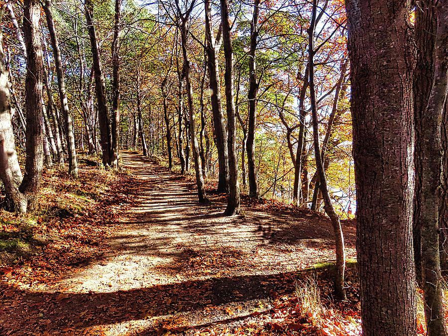 Scott Loring Davis: ""Beautiful Walks Collection" By Scott Loring Davi ...